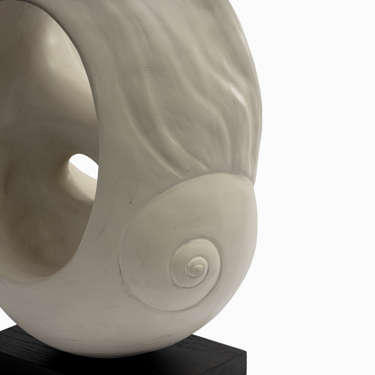 Shell Within – Studio Renaissance